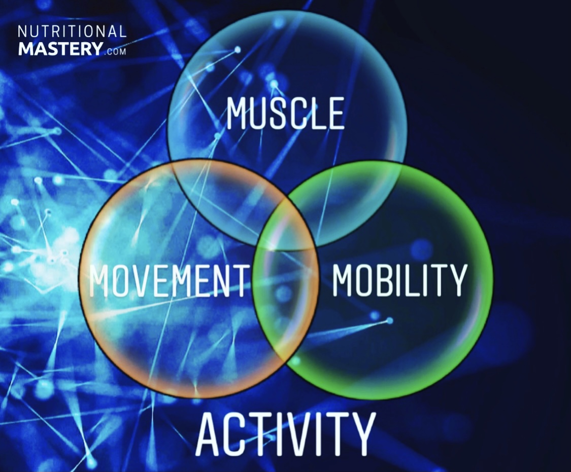 MOVEMENT IS MEDICINE: MOBILITY- Are You Moving Your Joints in ...